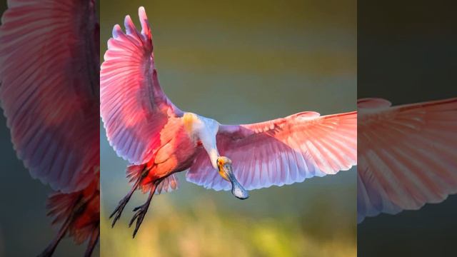 6 ЛУННЫЕ СУТКИ