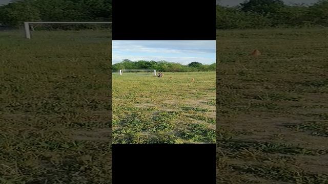 Мини  байк Орион ч. 1 первое знакомство