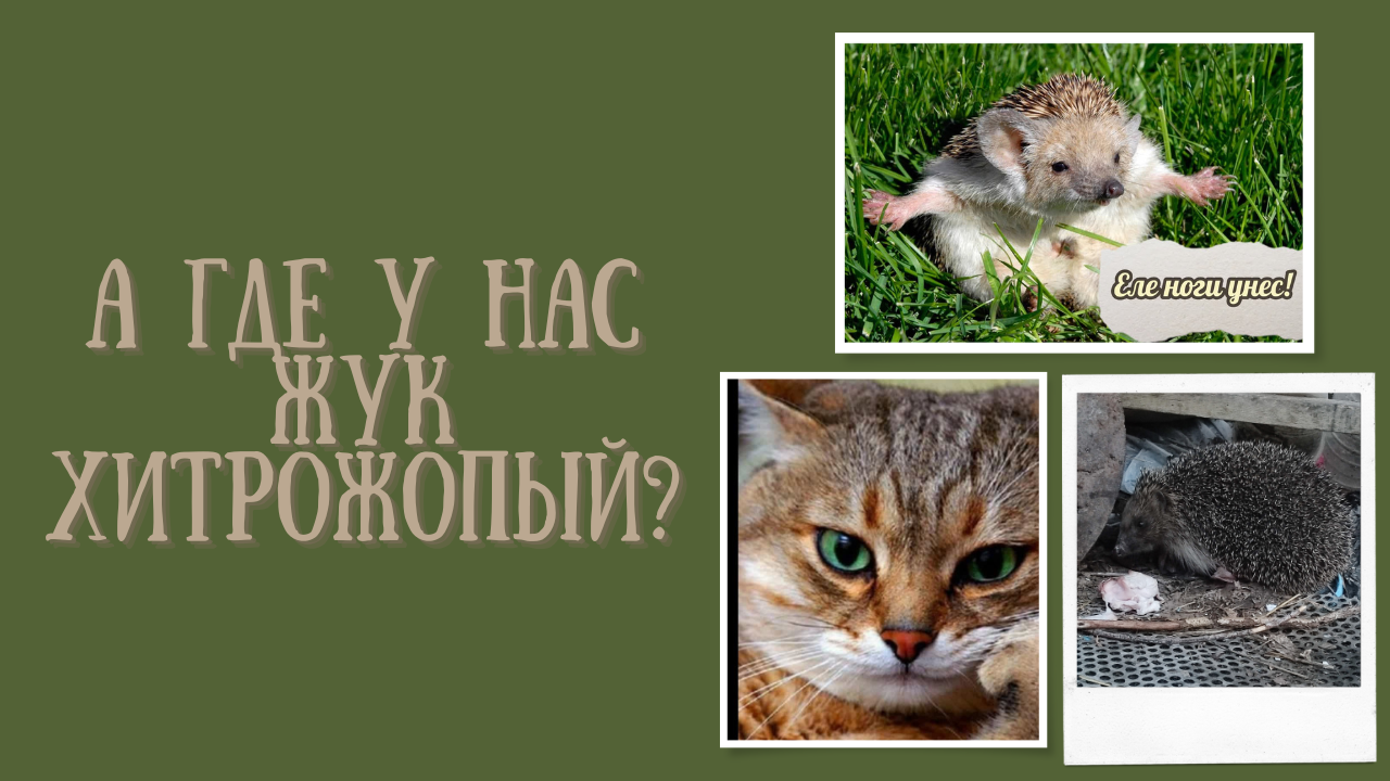 Побег с "места преступления"