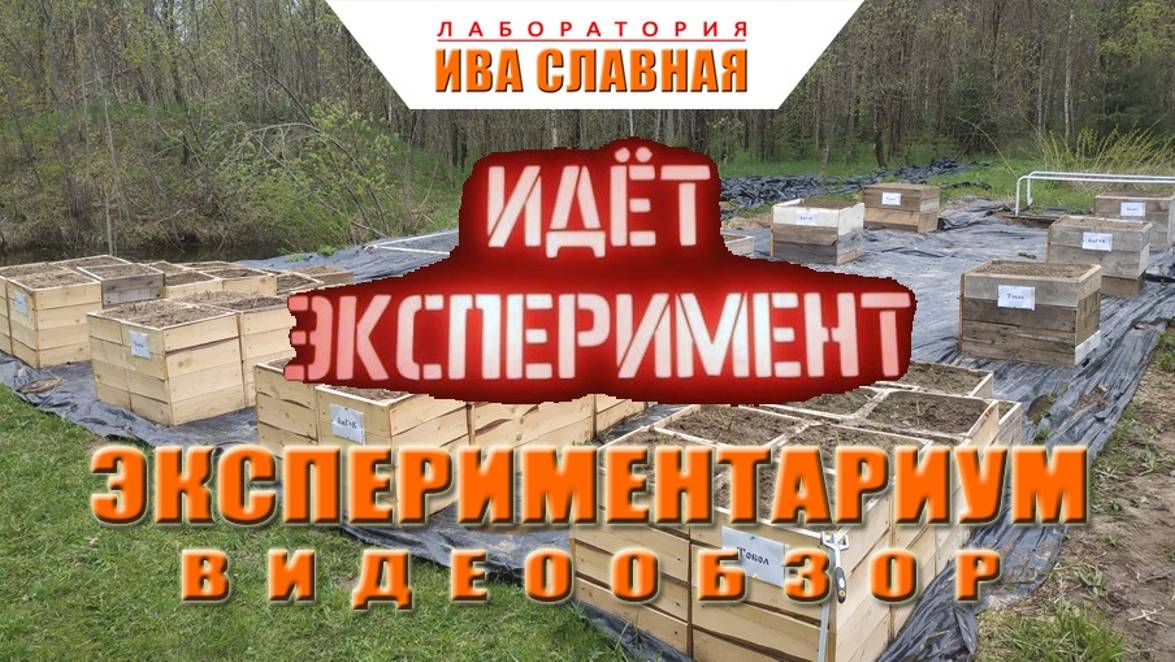 Лаборатория Ивы Славной: Экспериментариум обзор (12.05.2024)