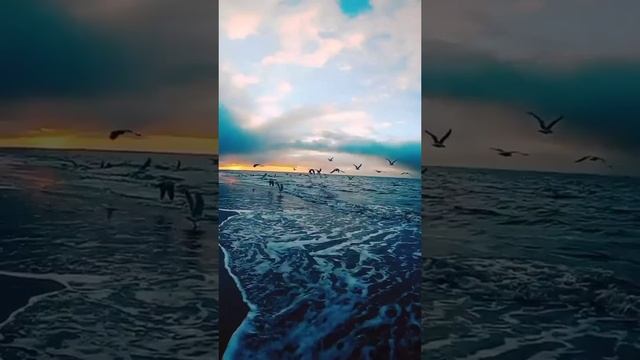 свободный полет