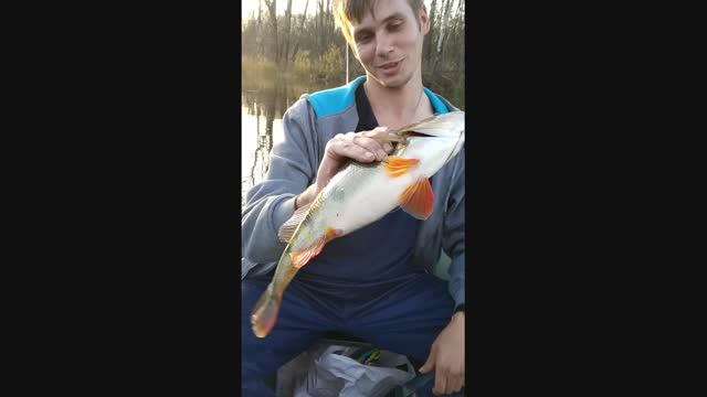 Моменты из наших рыбалок. Круто проведенное время.