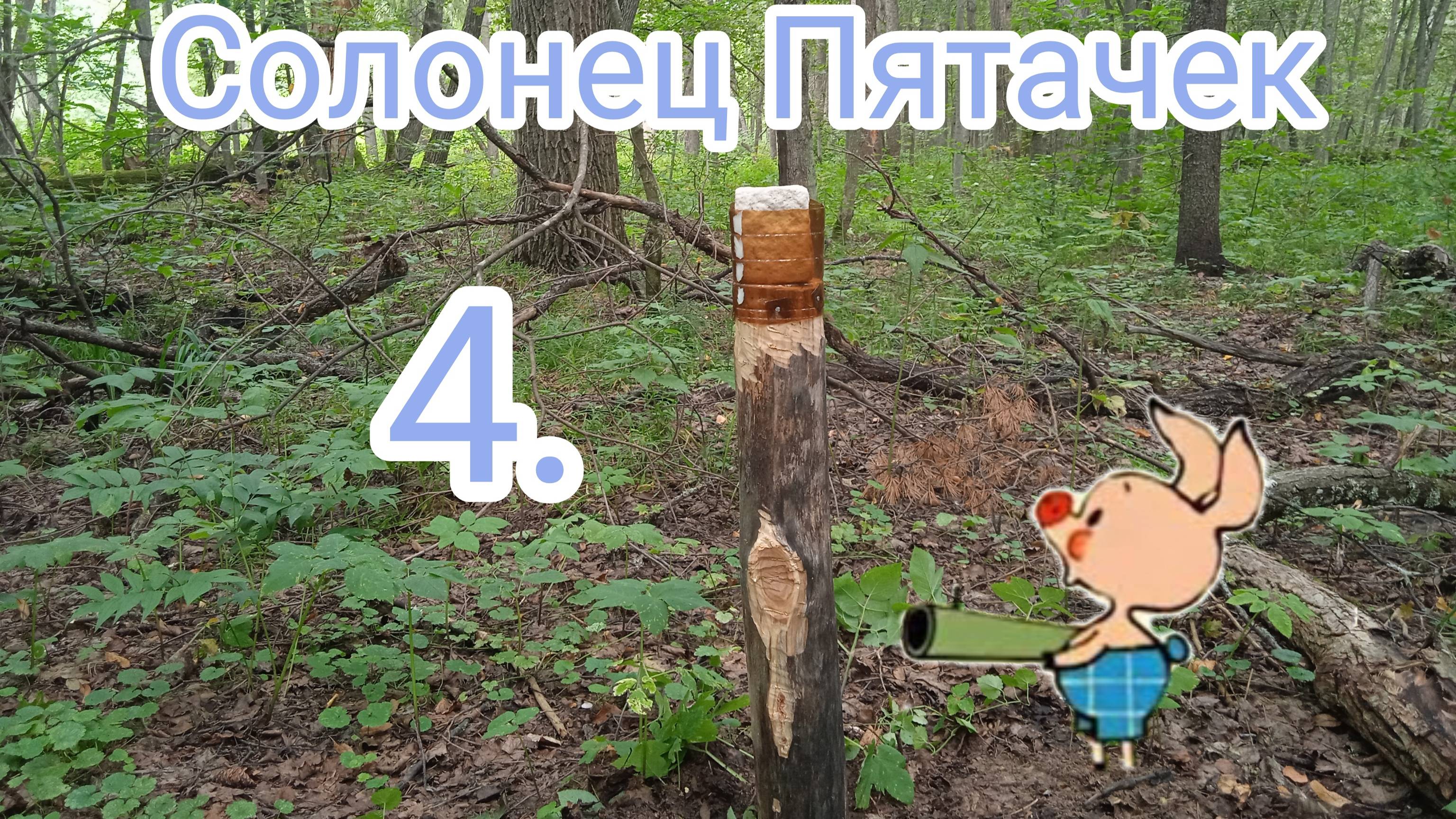Солонец Пятачек 4