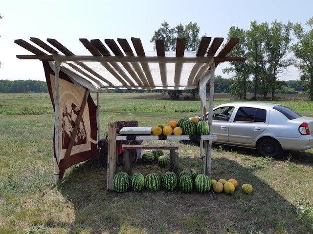 Как продавал арбуз июль 2019