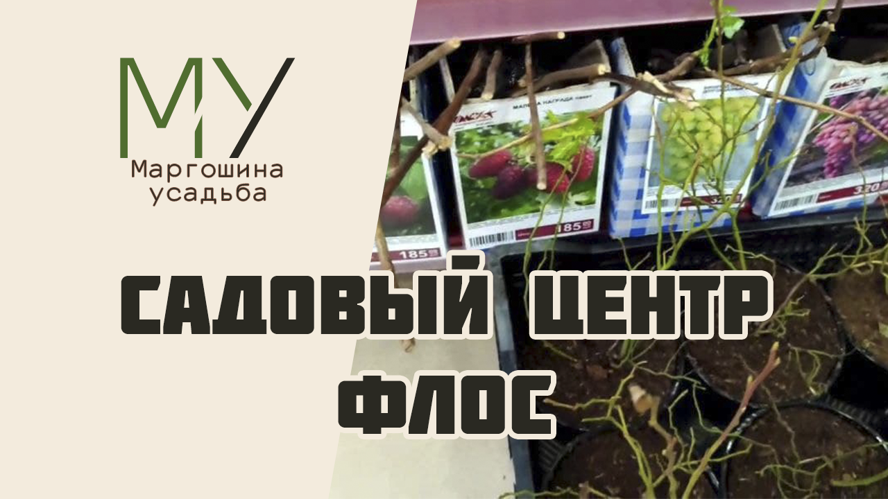 Обзор садового центра Флос. Часть 2
