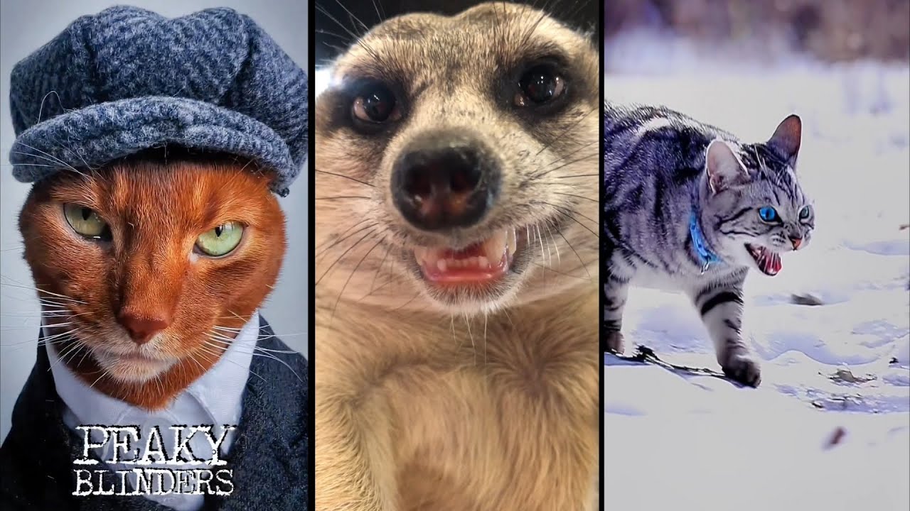 Лучшая подборка