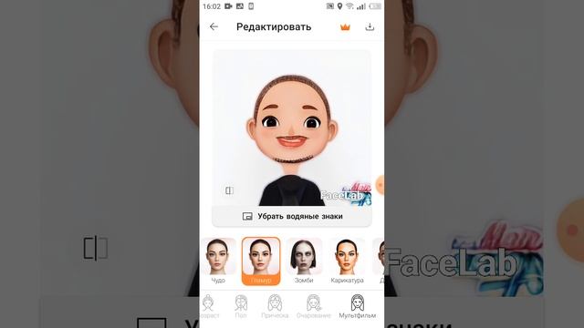 FaceLab приложение обзор+Вебка