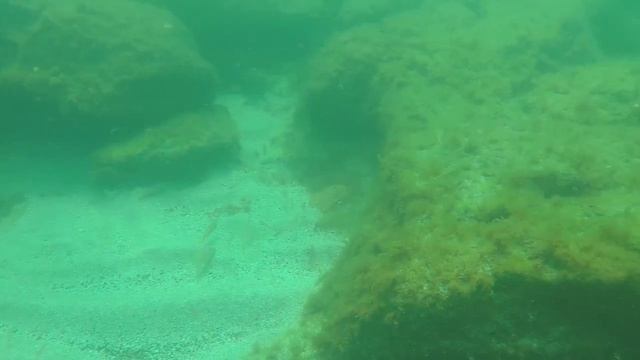 Дайвинг в Актау. Дайв обычного дня.