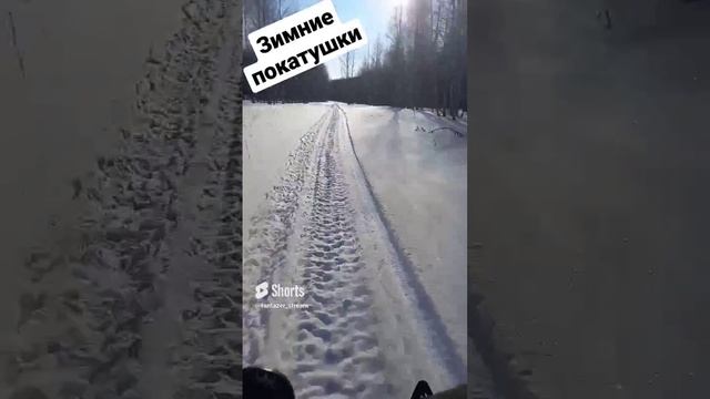 зимние покатушки на мотособаке и снегоходе