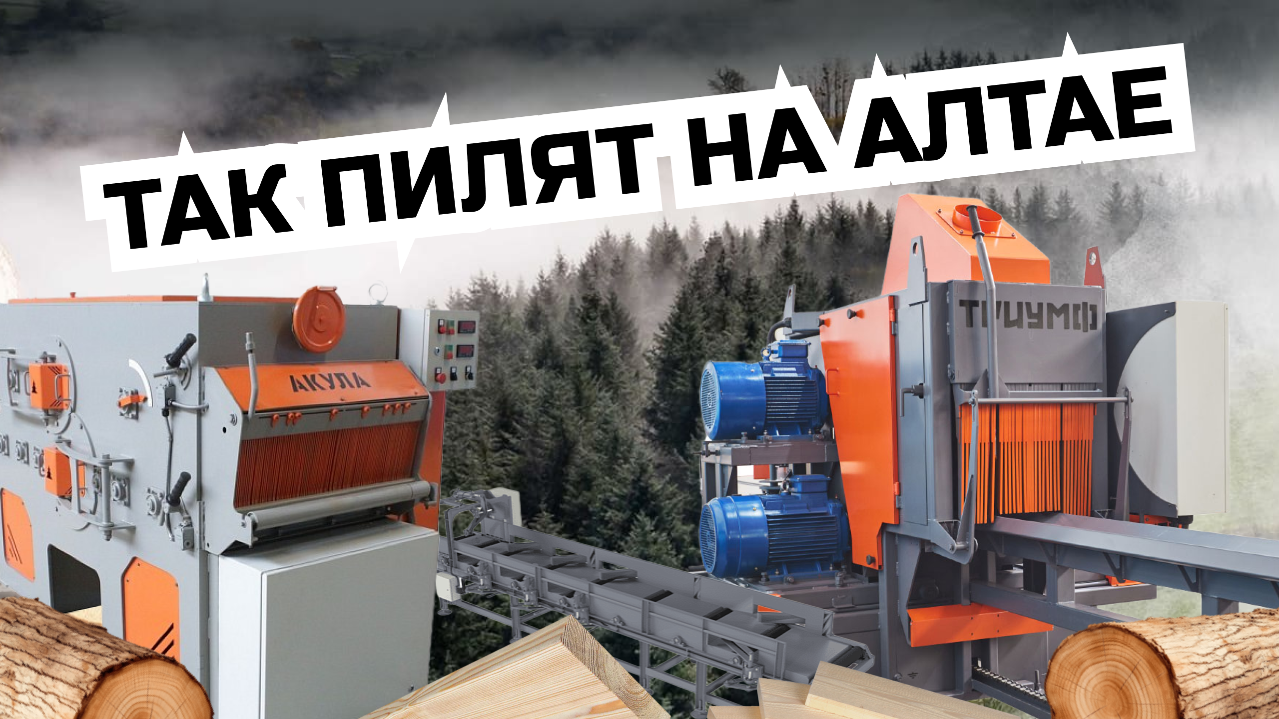 Распиловка Круглого Леса на Обрезные Доски – Лесопильная Линия ТРИУМФ с частичной механизацией