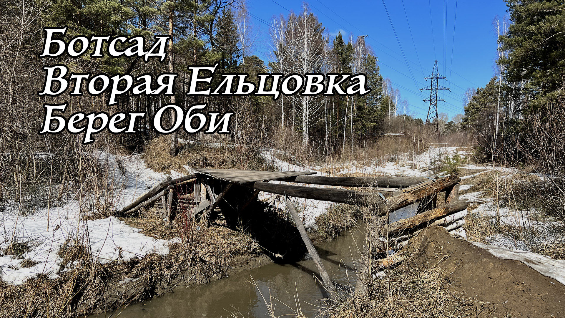 Ботсад. Вторая Ельцовка. Берег Оби