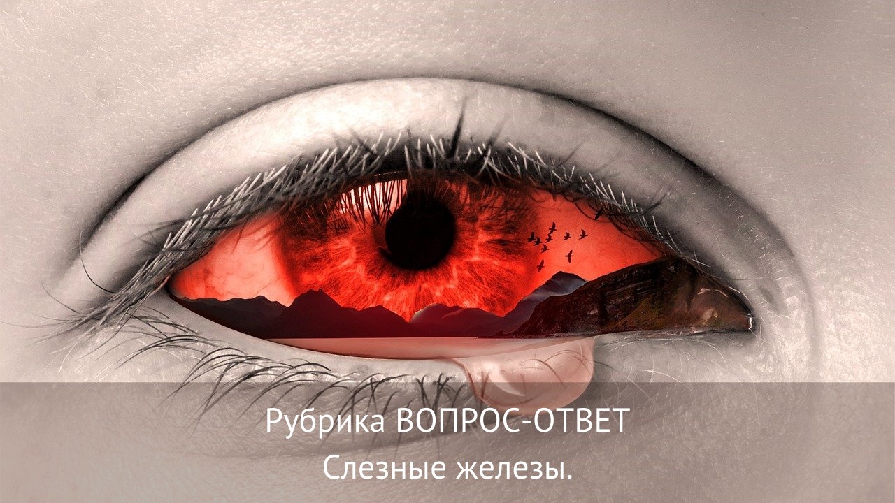 Слезные железы