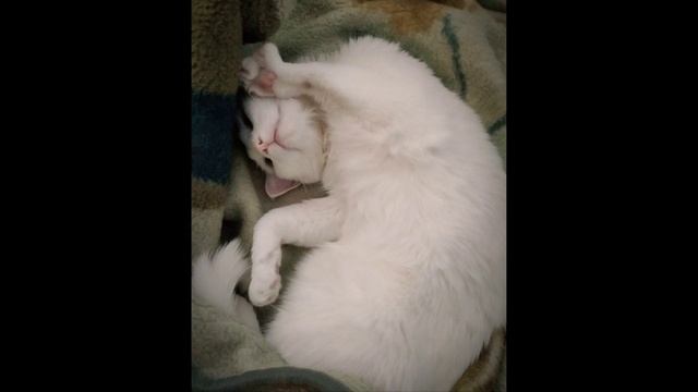 Марте Мартовне 8 лет.mp4