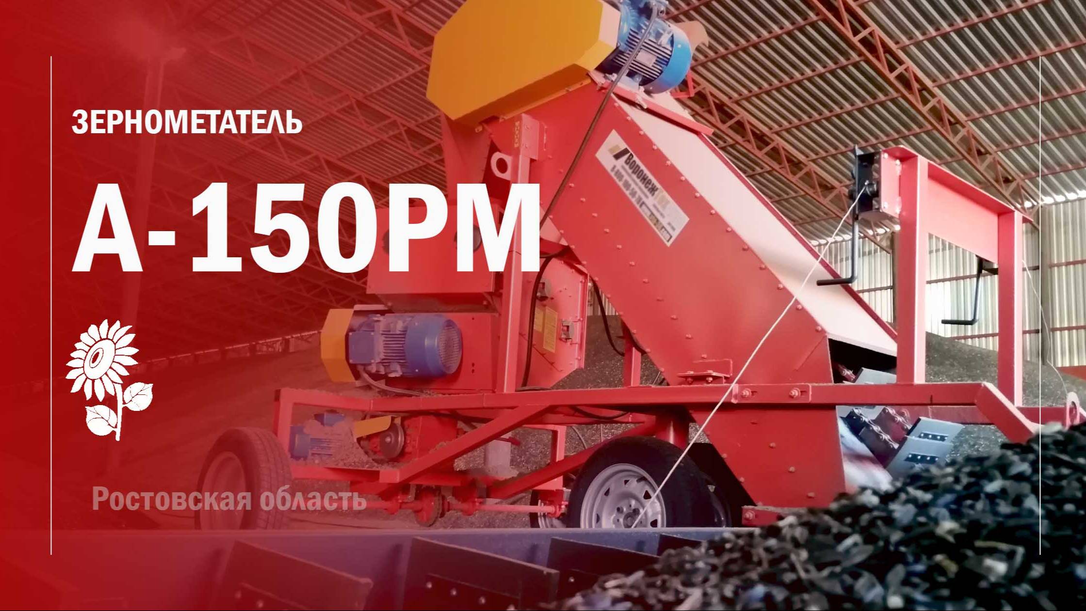 Зернометатель в работе! А 150РМ ВОРОНЕЖТЕХАГРО
