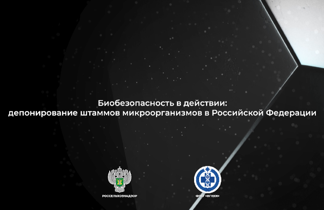 9/23 Биобезопасность в действии: депонирование штаммов микроорганизмов в Российской Федерации