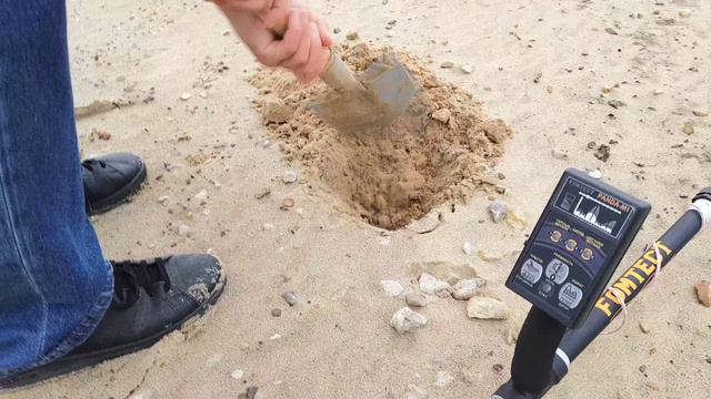 Удачная прогулка с металлоискателем FOMTECT PANDA-M1
