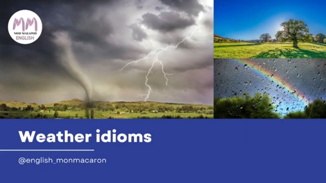 Английский язык. Weather idioms