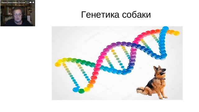 Какие знания генетики необходимы кинологу (вебинар)
