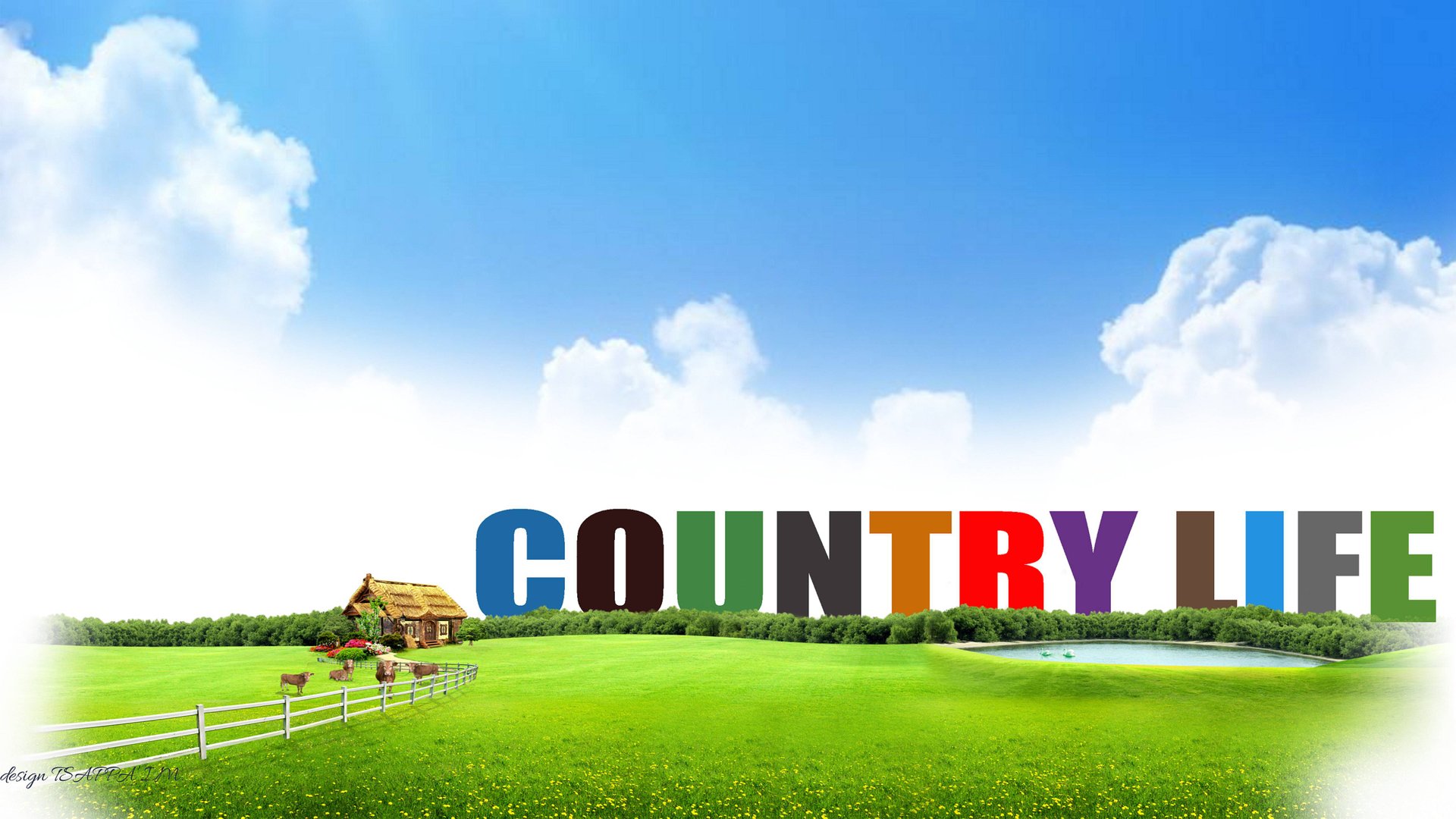COUNTRY LIFE - Технология. Качество. Стоимость. Сроки. Гарантия. Комплектация.