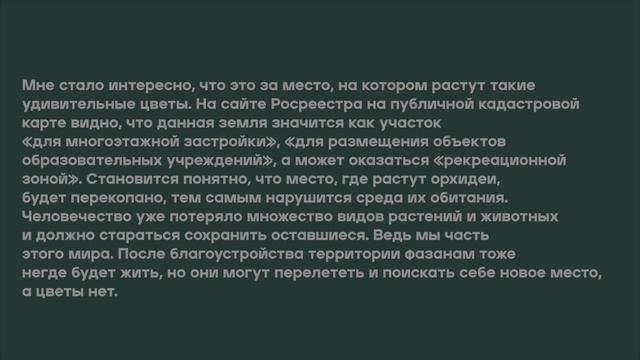 “Цветы и птицы или стройка?”