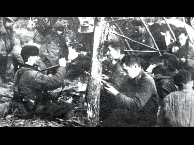 Шумел сурово Брянский лес...