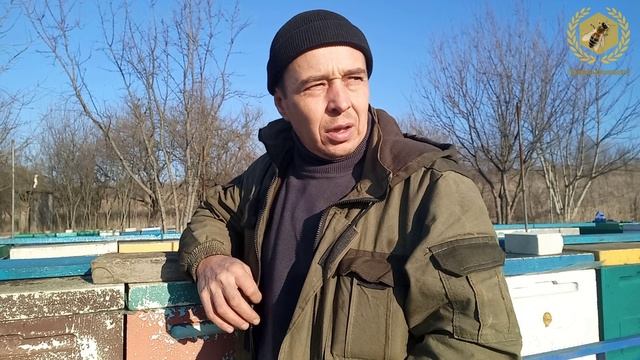 Цена пчелопакетов и маток на 2023 год