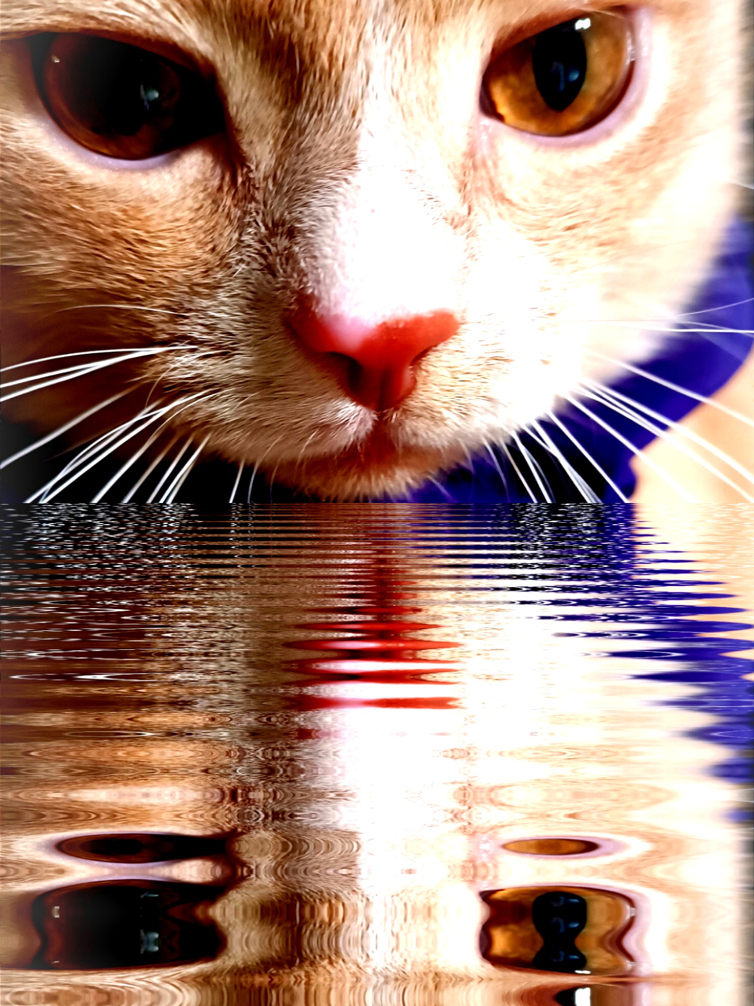 ДНК вашей кошки и ваша собственная ДНК- рассказывает очень похожие истории.#кошка#cat#short