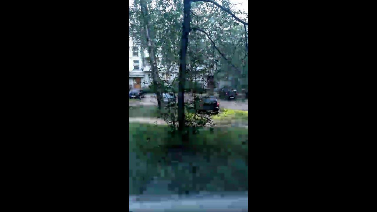 Сысы а  димка в ужасе