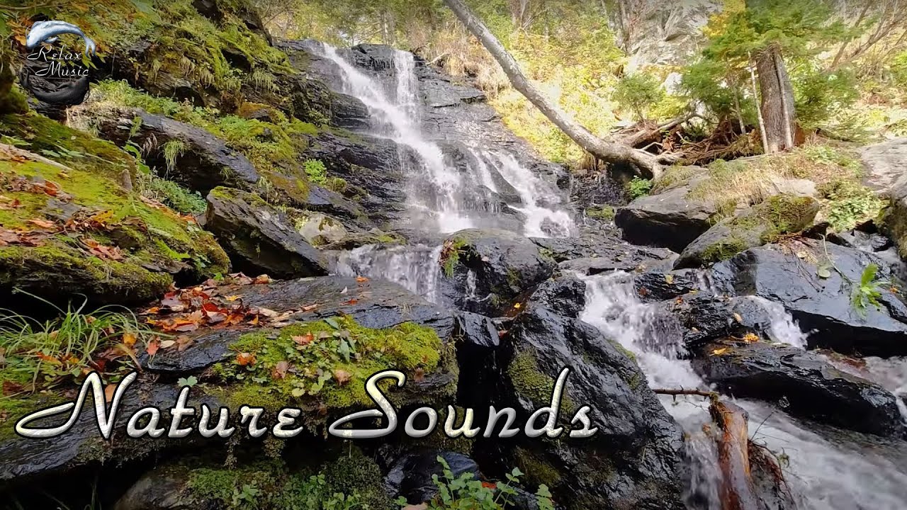 30 минут видео с видом на прекрасный водопад