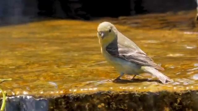 Заговор для супер зарплаты