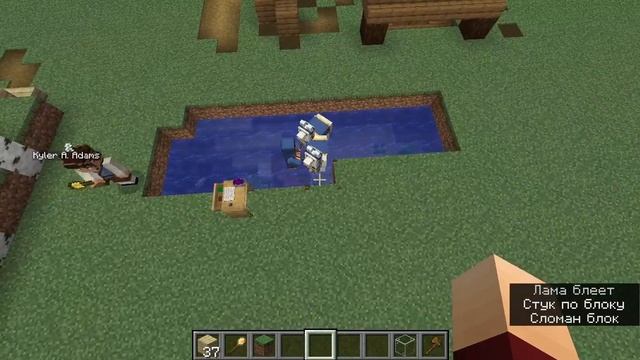 MineColonies Minecraft изучаем первая помощь , высшее образование и строим школу