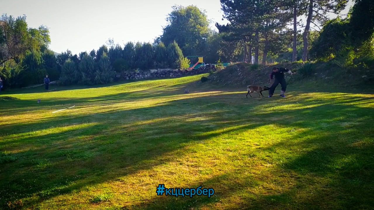 Чемпионат Крыма по мондьоринг 14.09.19