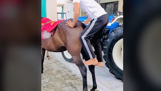 ПОДБОРКА КАК БОСС #15. Невероятные люди