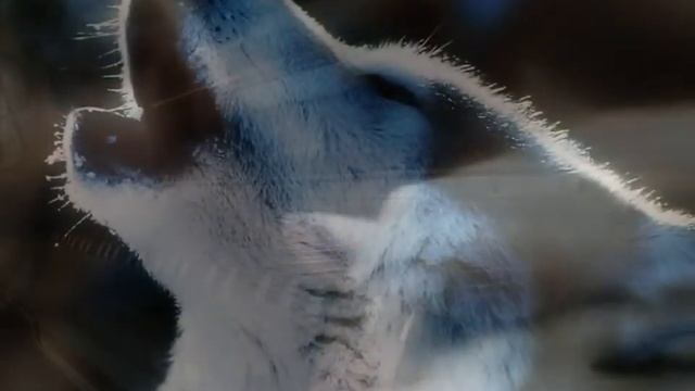 Красивая мелодия  Beautiful piano.mp4