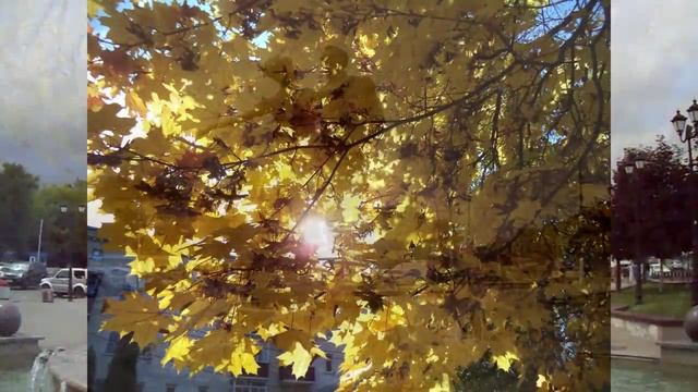 Запах осени.