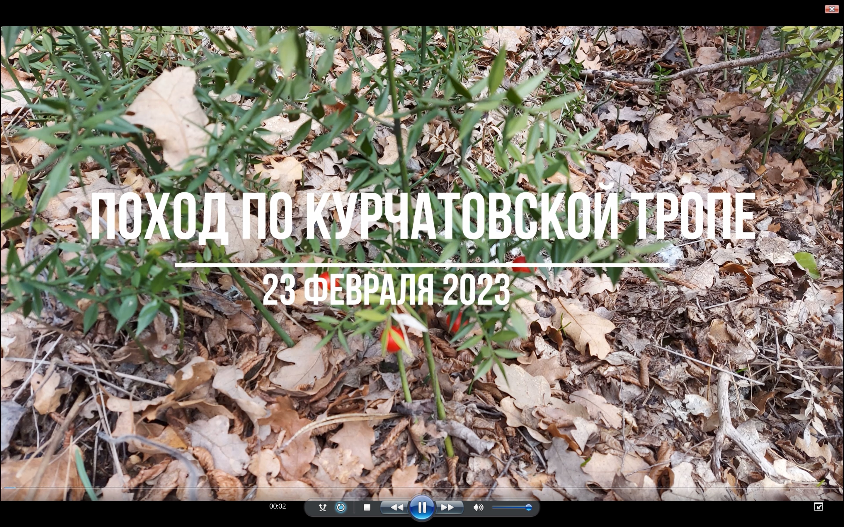 Курчатовская тропа Крым