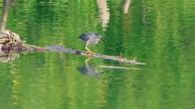 Счастье сердце переполнило. Минус. Родник хвалы и вдохновенья.