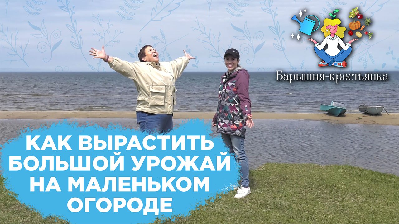 Как вырастить большой урожай на маленьком огороде | Барышня-крестьянка