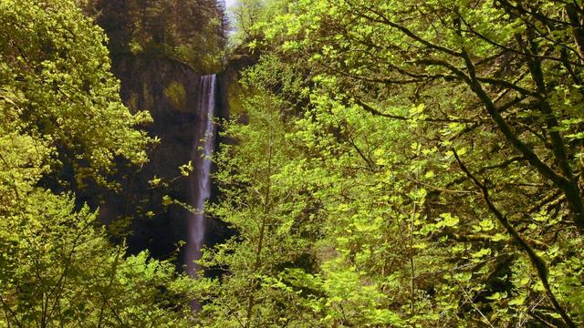 Мягкая перезагрузка, очищение от негатива, восстановление сил и жизненного потока. Сила стихий.