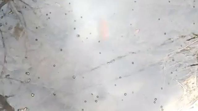 5 глушь 12 шк