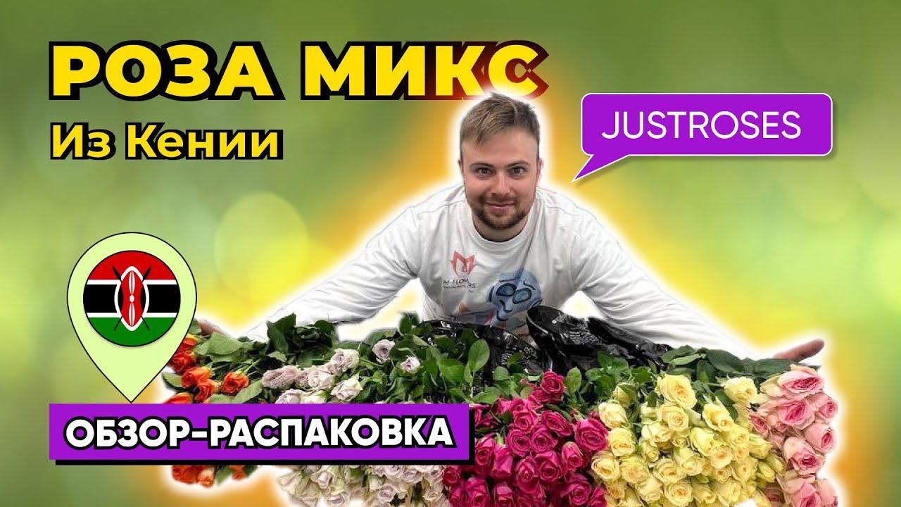 ОБЗОР-РАСПАКОВКА: кустовая роза от плантации JUSTROSES