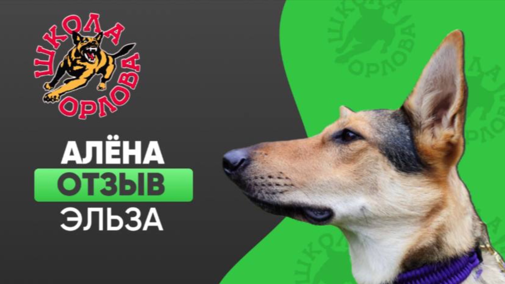 Вместо 1000 слов...