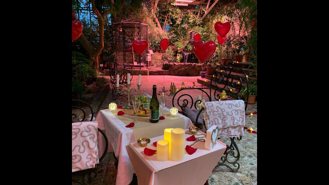 Годовщина свадьбы. Свидание в оранжерее ботанического сада. Подарок любимой.