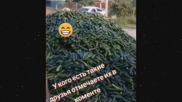 Подборка приколов №20