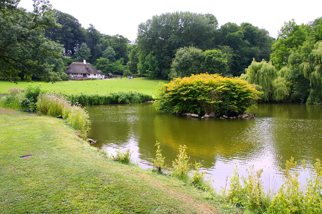 203.Триада на Пруду. Bear.mp4