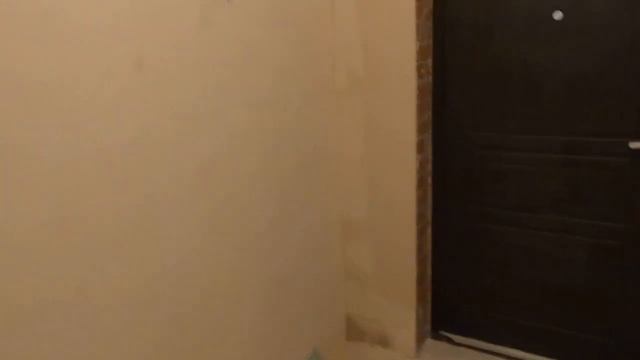 Делаем откосы для входной двери