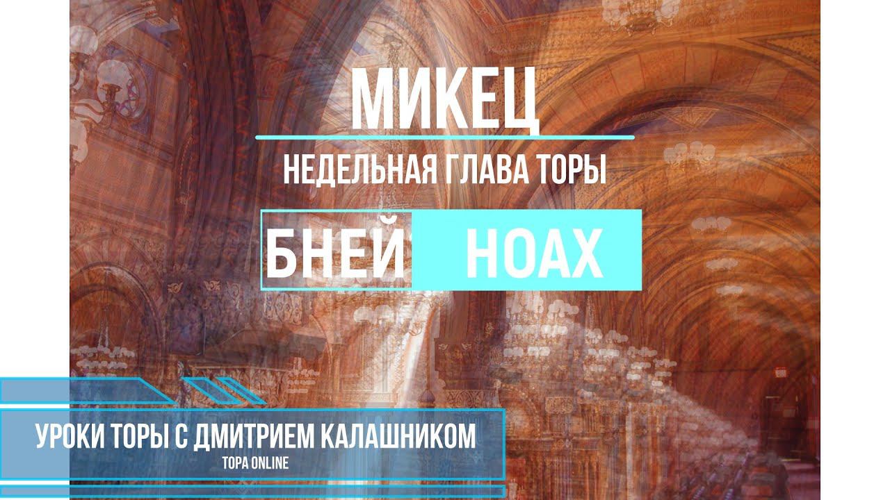 Что важнее - красота или здоровье? Коровы во сне Паро - красивые или мясистые? Глава Микец 5781