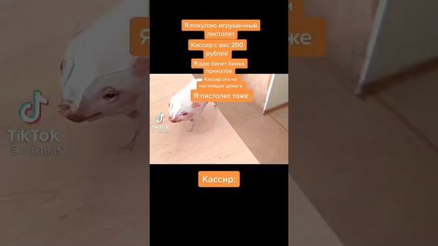 Ну правда же