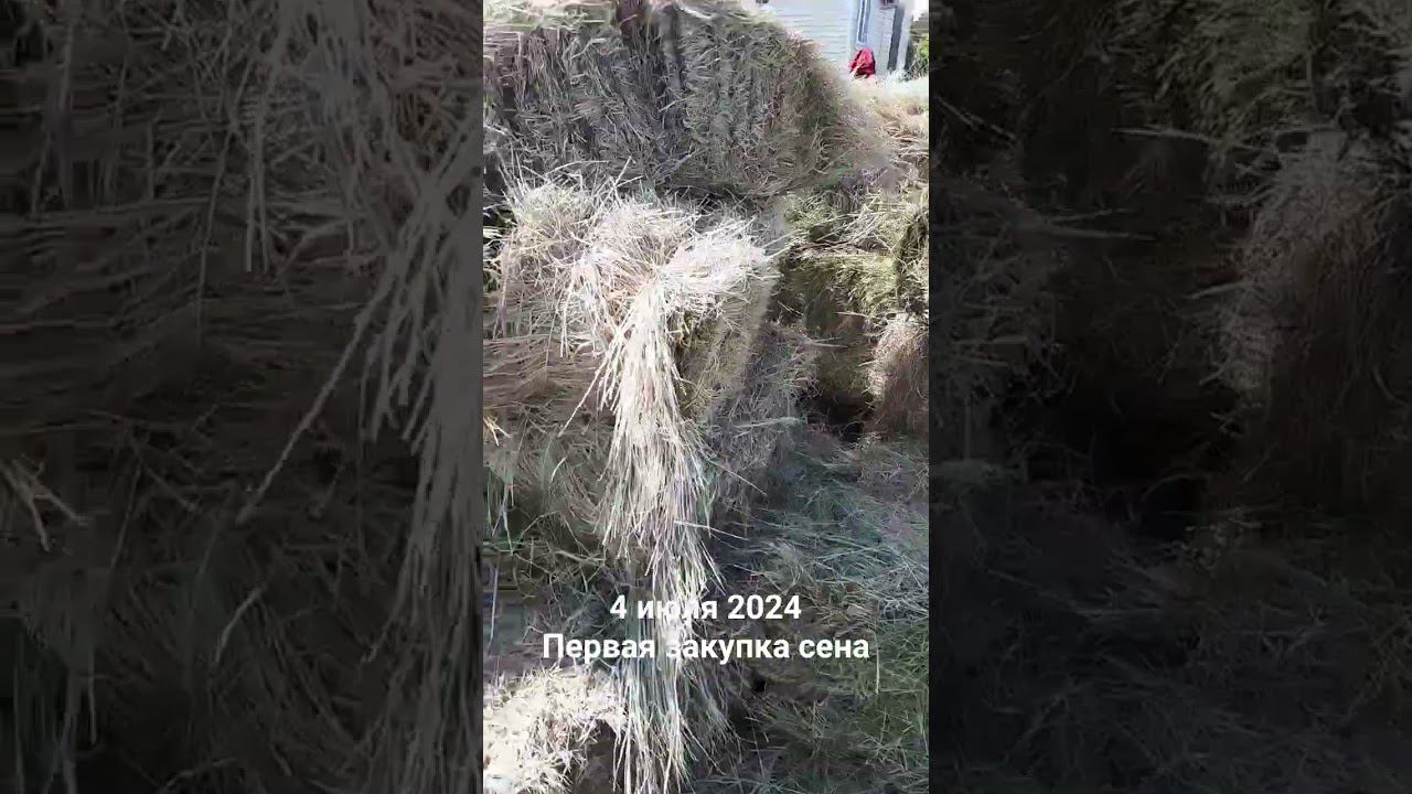 4 июля 2024 г. купили сено