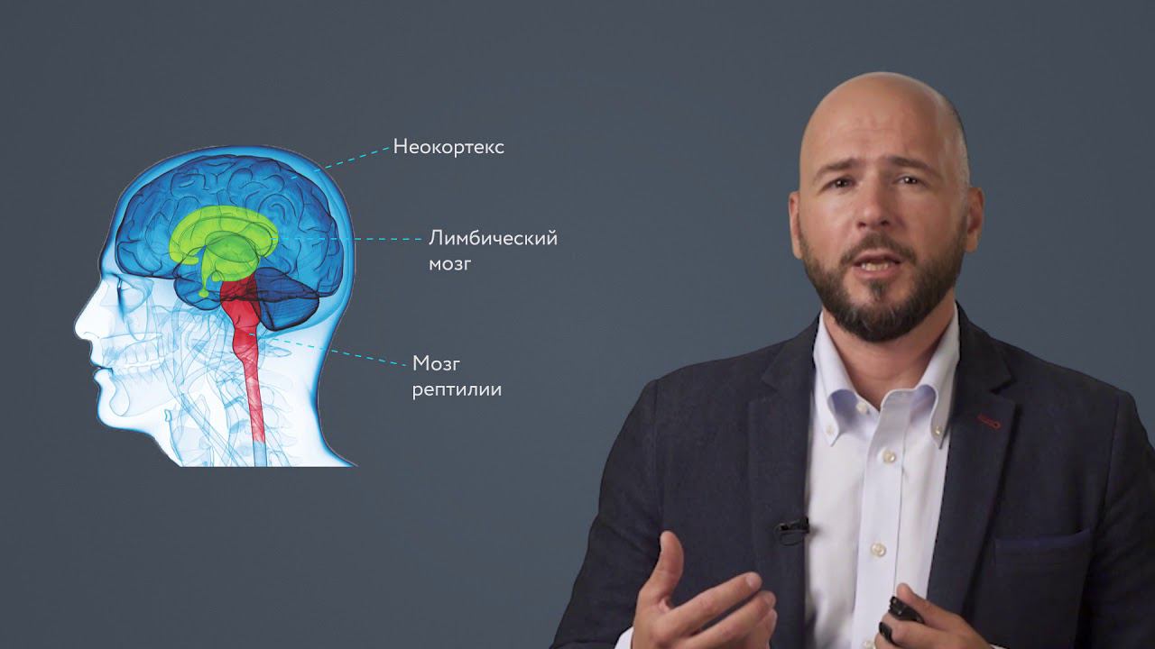 Эмоциональный интеллект. Модуль 1. Павел Николаев, All Brains